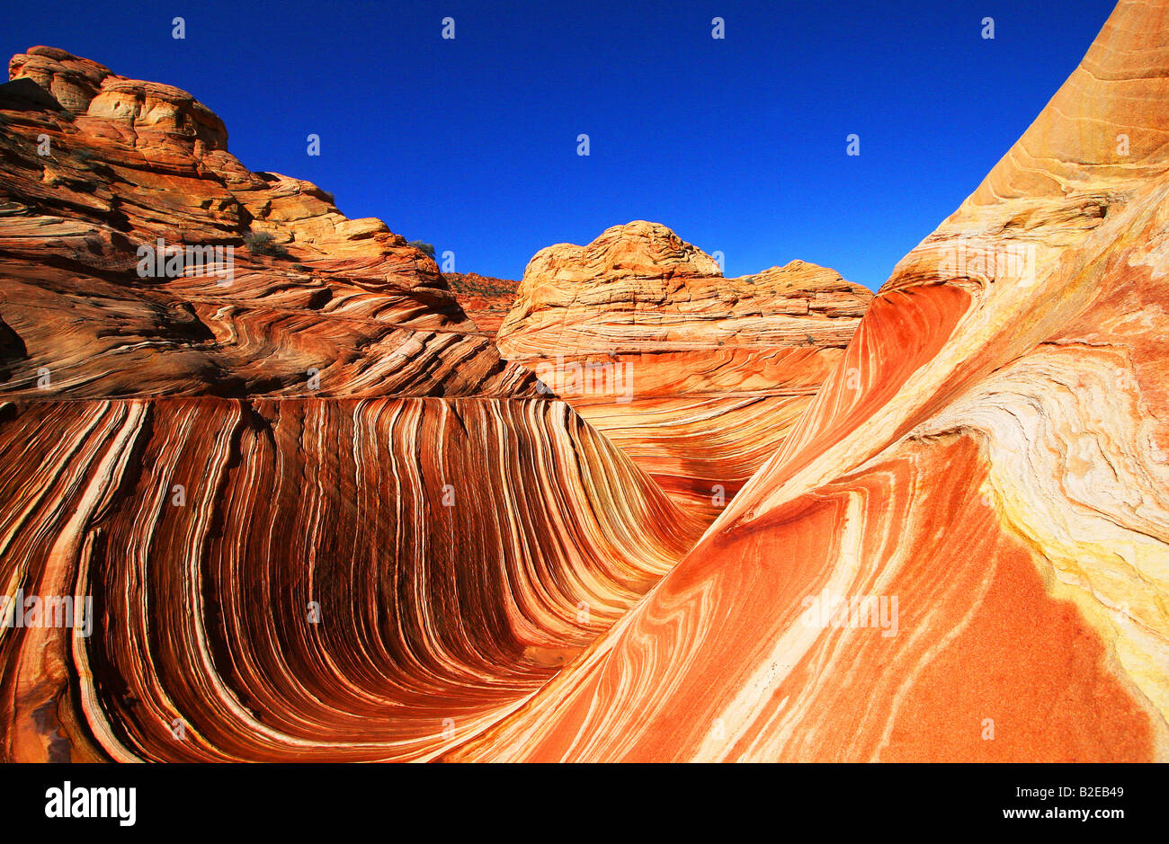 Rock formations on landscape, Coyote Buttes, Arizona, USA Stock Photo ...