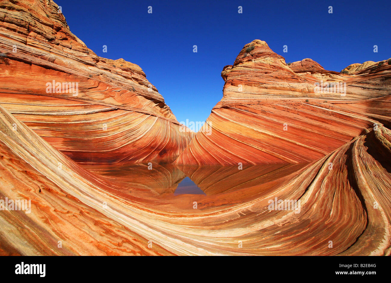 Rock formations on landscape, Coyote Buttes, Arizona, USA Stock Photo ...