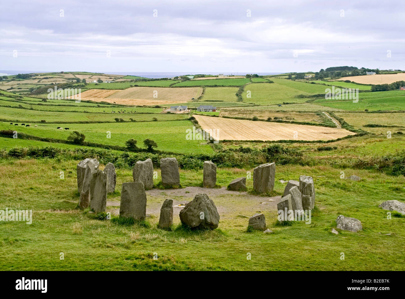 Megalith in field, Drombeg Stone Circle, Glandore, Cork County, Munster ...