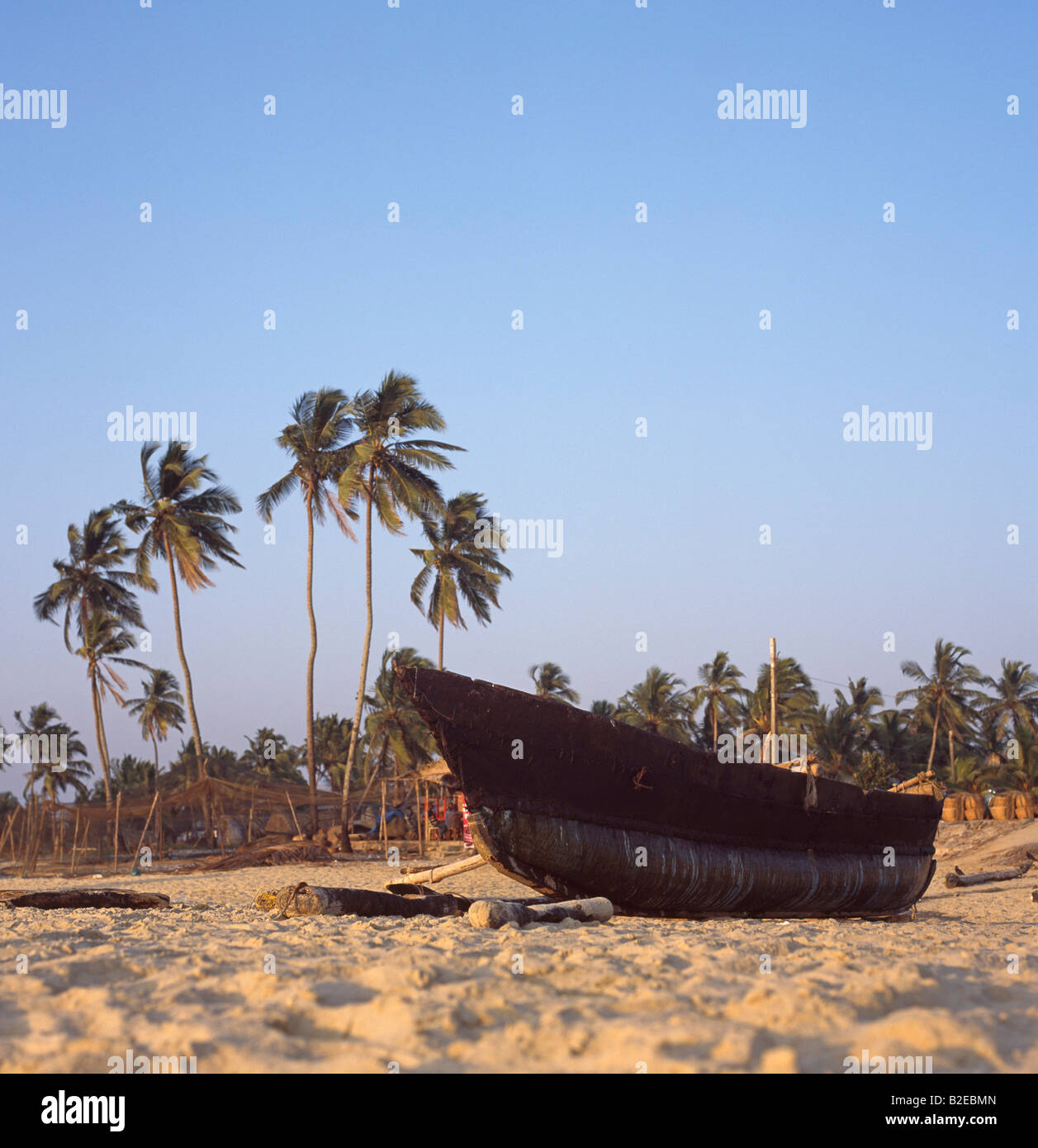 Fishing boat and palm trees on beach Stock Photo - Alamy