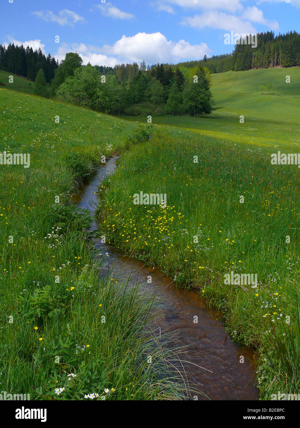 Baden creek hi-res stock photography and images - Alamy