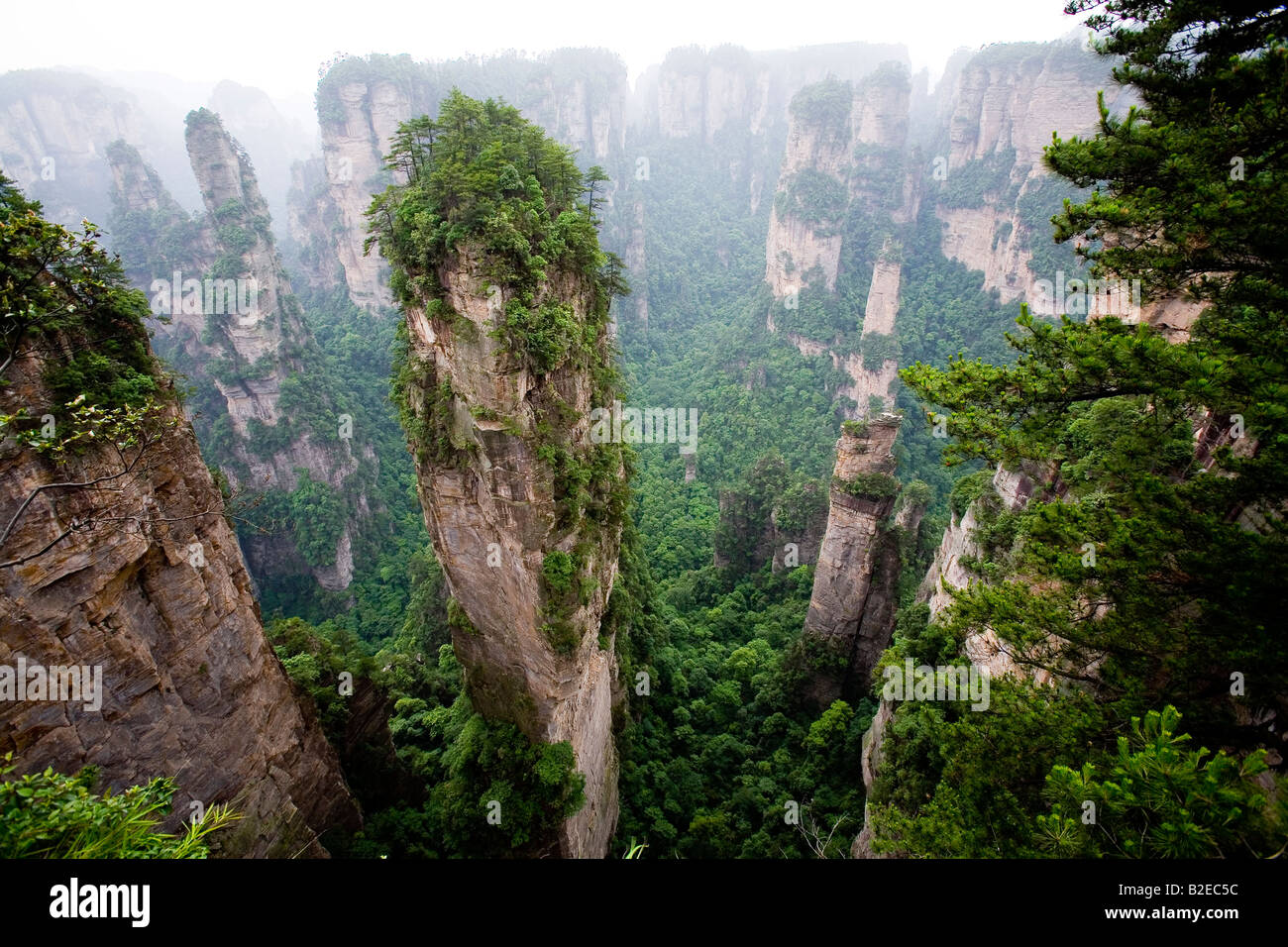 Mount tianzi hi-res stock photography and images - Alamy