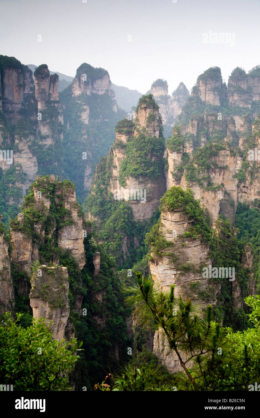 Hunan,Zhangjiajie National Forest Park,Zhangjiajie,Beauty in Nature,Mt ...