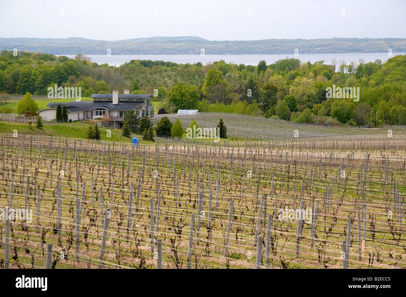 Vineyard and winery hi-res stock photography and images - Alamy