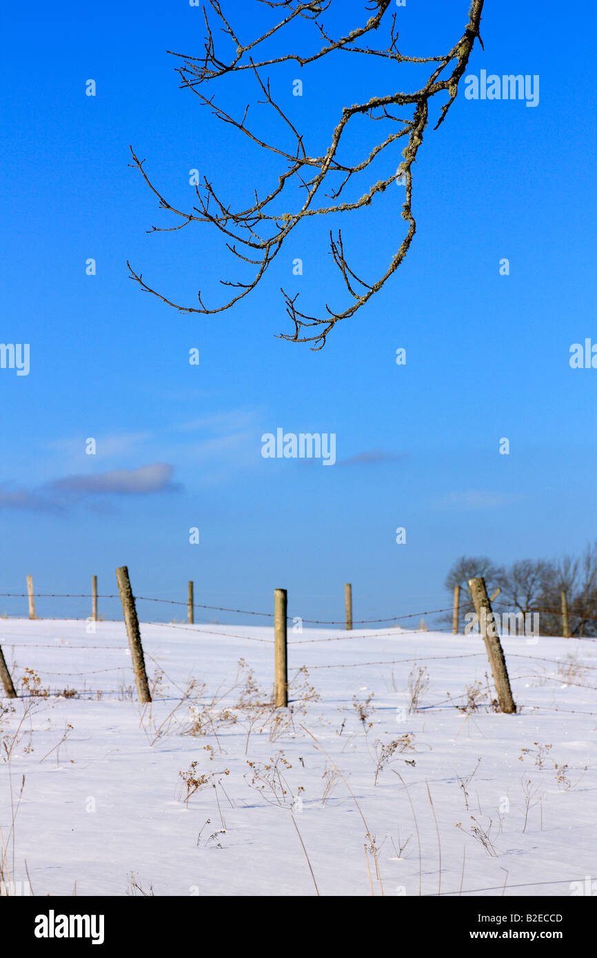 Tree limb fence hi-res stock photography and images - Alamy