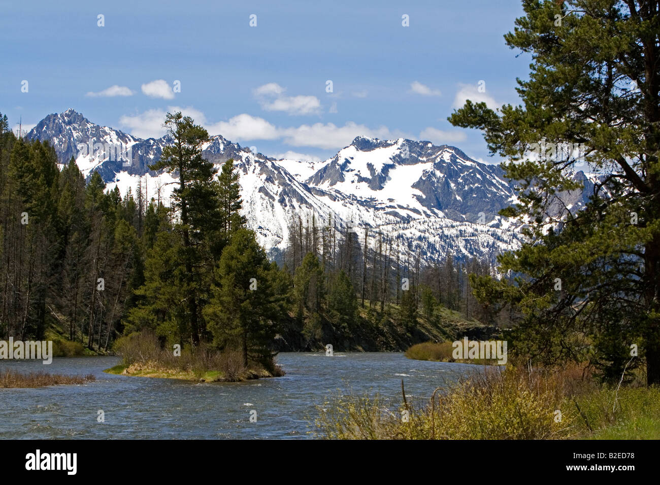 The Salmon River flowing below the Sawtooth Mountain Range near Stanley ...
