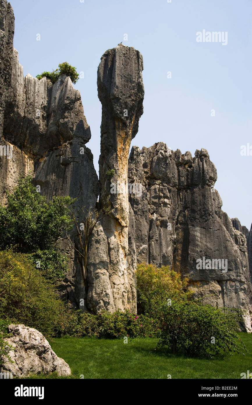 Xishan forest park hi-res stock photography and images - Alamy