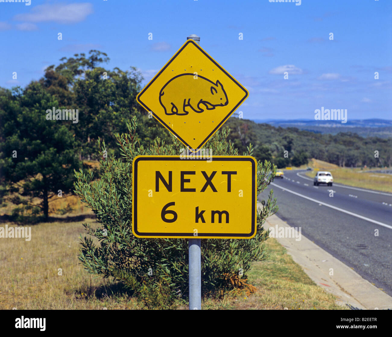 Road Sign for Wild Animals Australia Stock Photo - Alamy