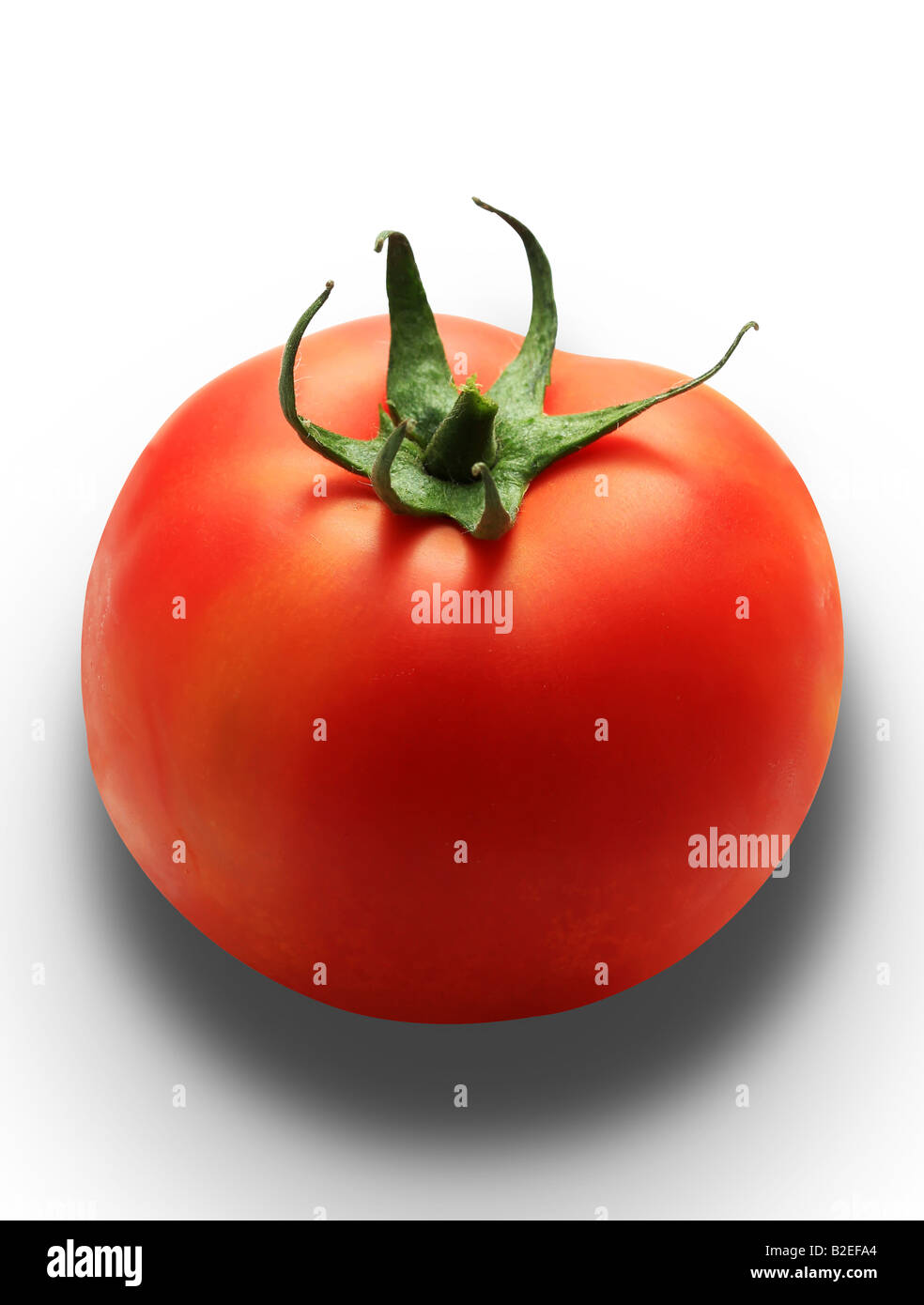 Single red tomato isolated on white with clipping path studio lighting ...