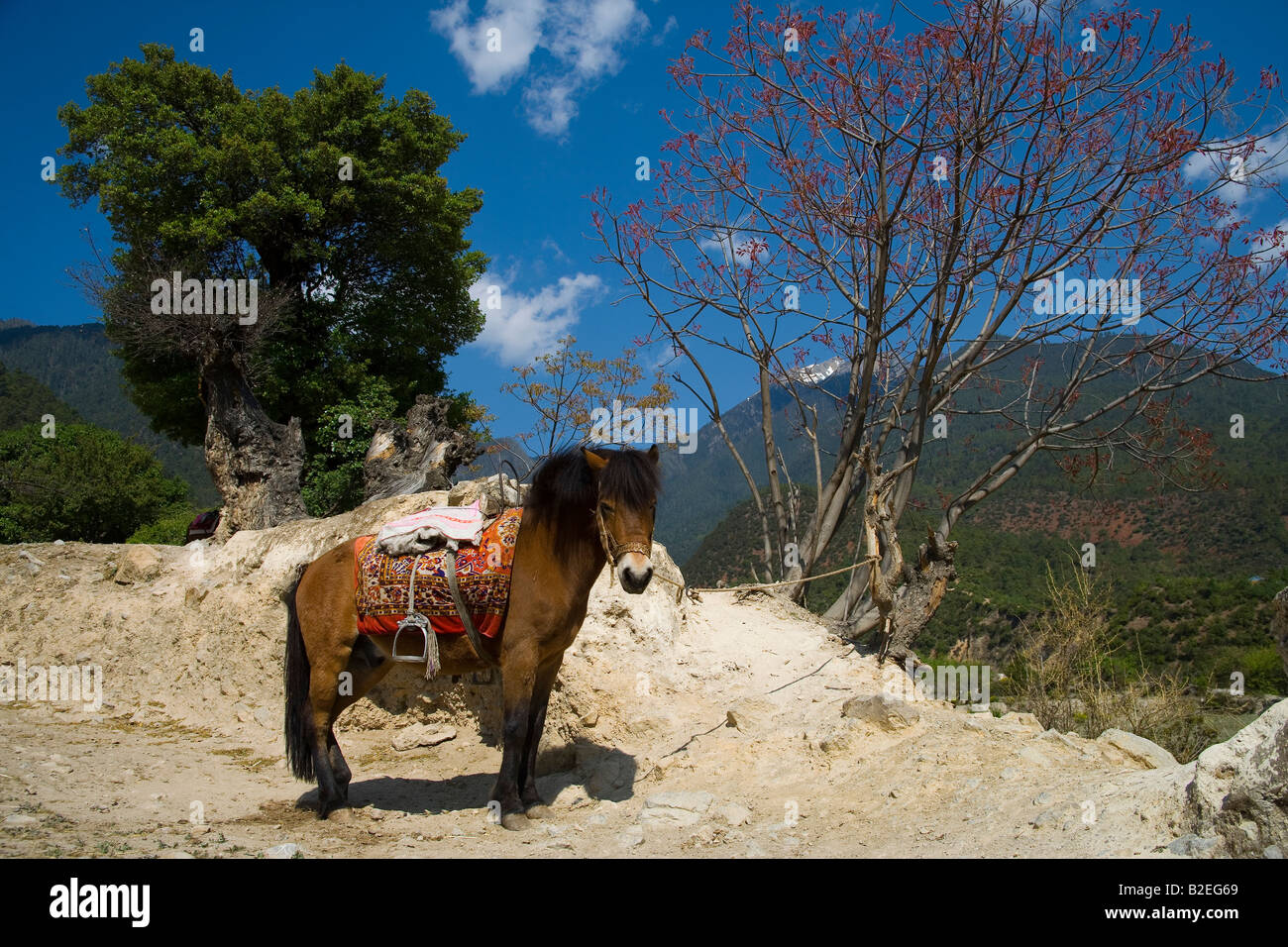 Baishui Terrace of Yunnan Stock Photo - Alamy