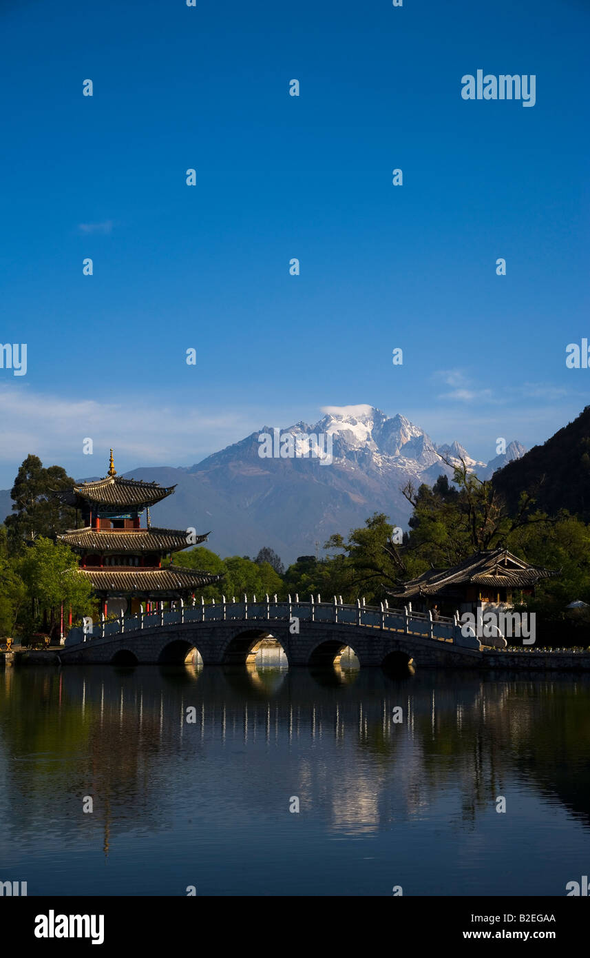 Heilong tan hi-res stock photography and images - Alamy