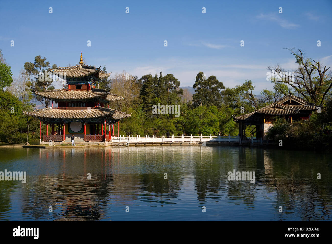 Heilong tan hi-res stock photography and images - Alamy