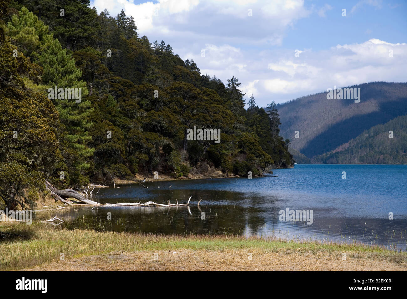Yunnan,Pudacuo National Park Stock Photo - Alamy