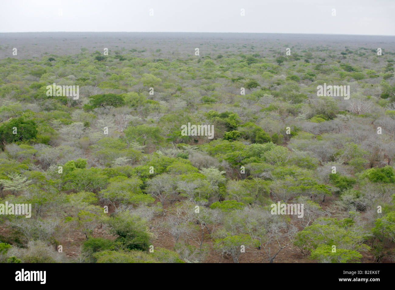 Zinave national park hi-res stock photography and images - Alamy