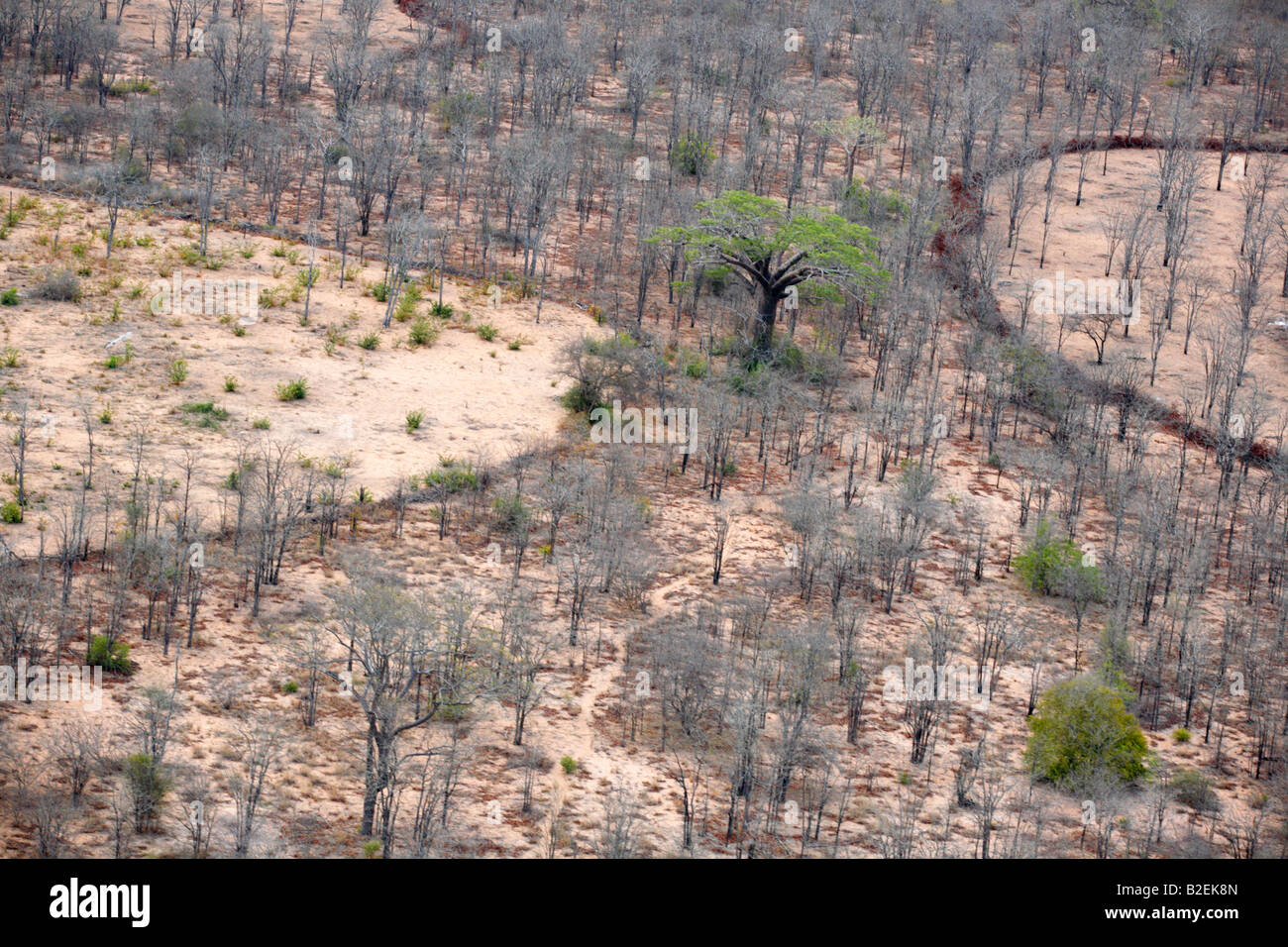 Fenced lands hi-res stock photography and images - Alamy
