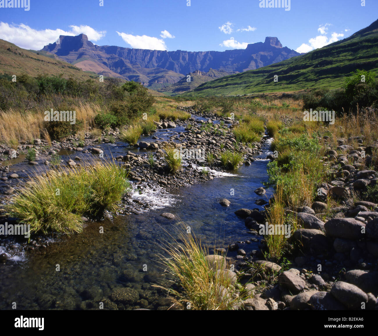 Tugela River with Amphitheatre in the background Stock Photo - Alamy