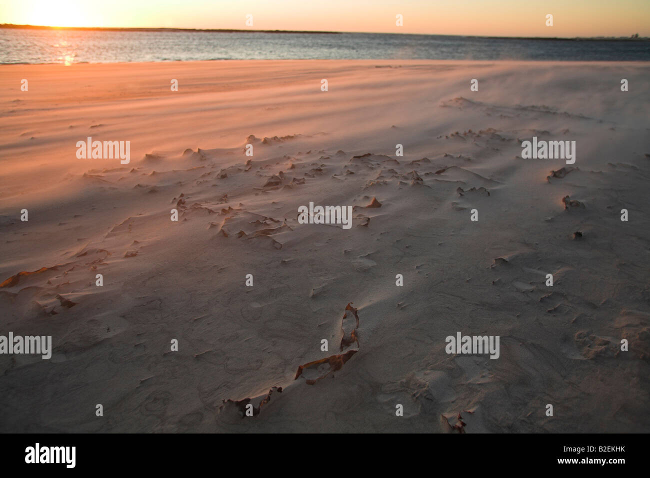 Windy beach landscape at dusk Stock Photo - Alamy