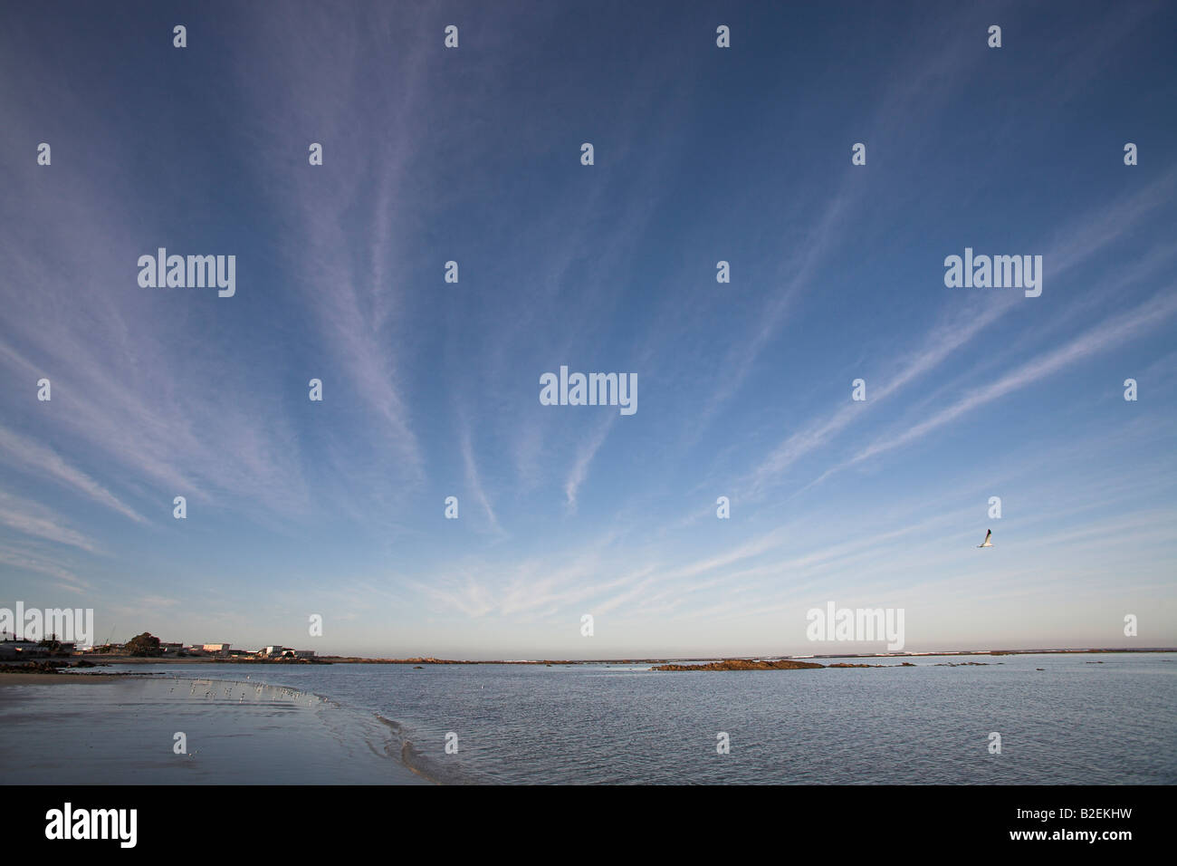 Wispy hi-res stock photography and images - Alamy