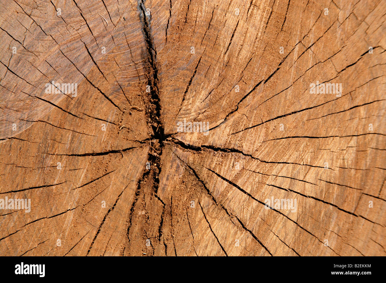 Log time hi-res stock photography and images - Alamy