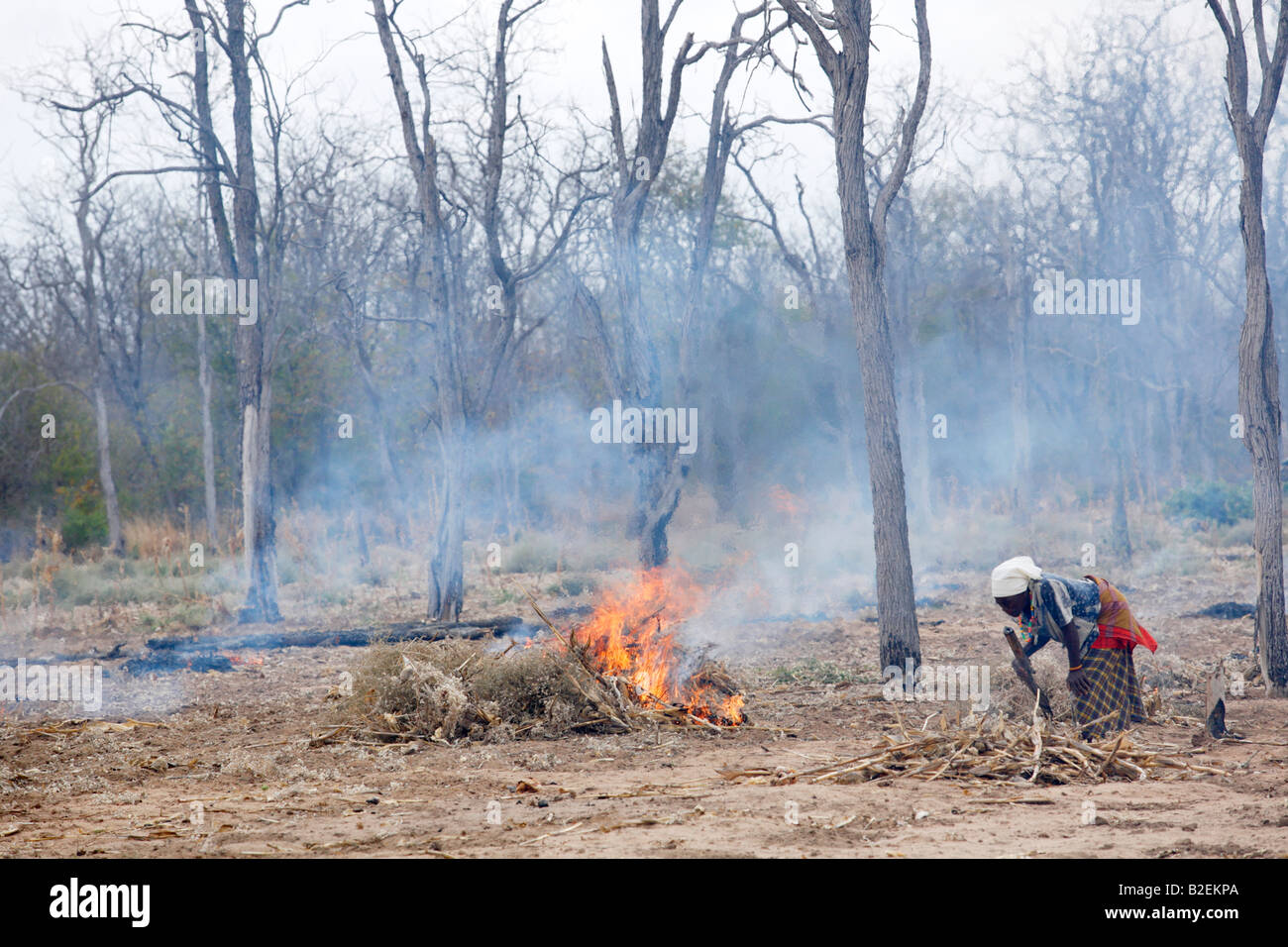 Slash burn agricultural africa hi-res stock photography and images - Alamy