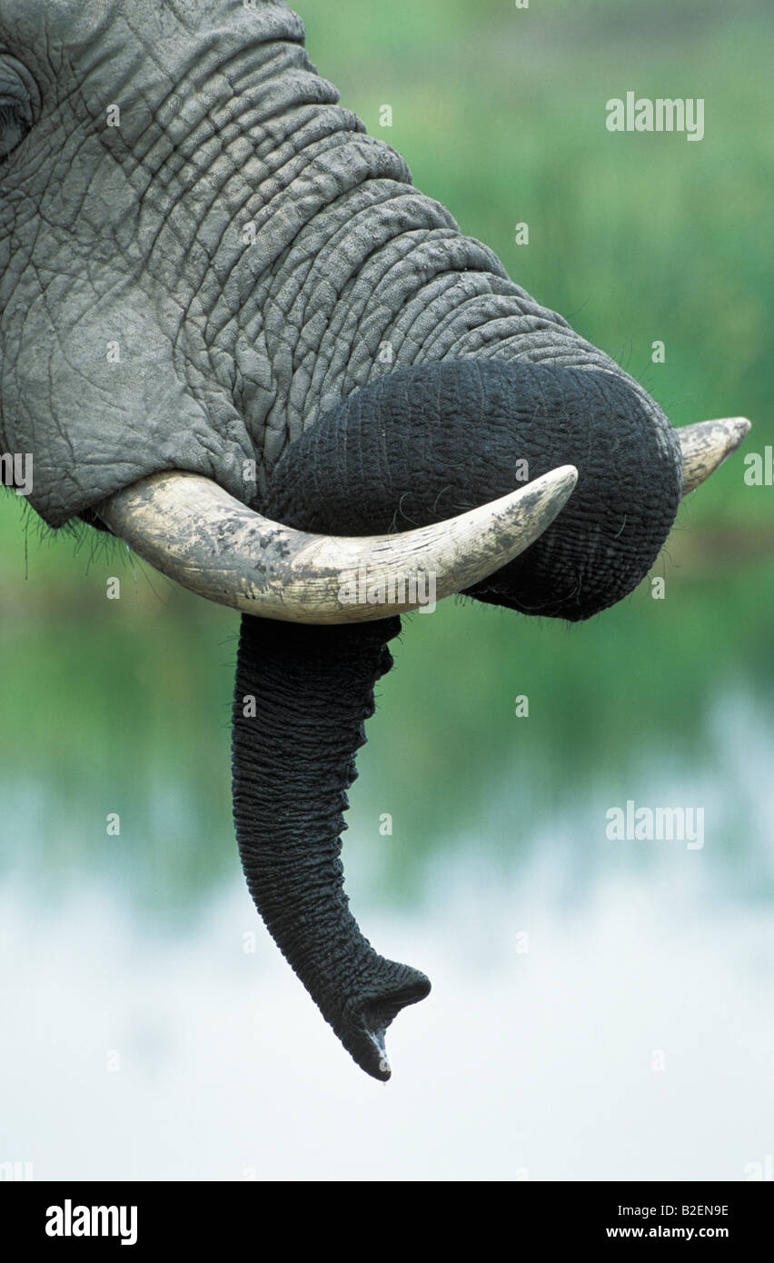 Twisted Humor High Resolution Stock Photography and Images - Alamy