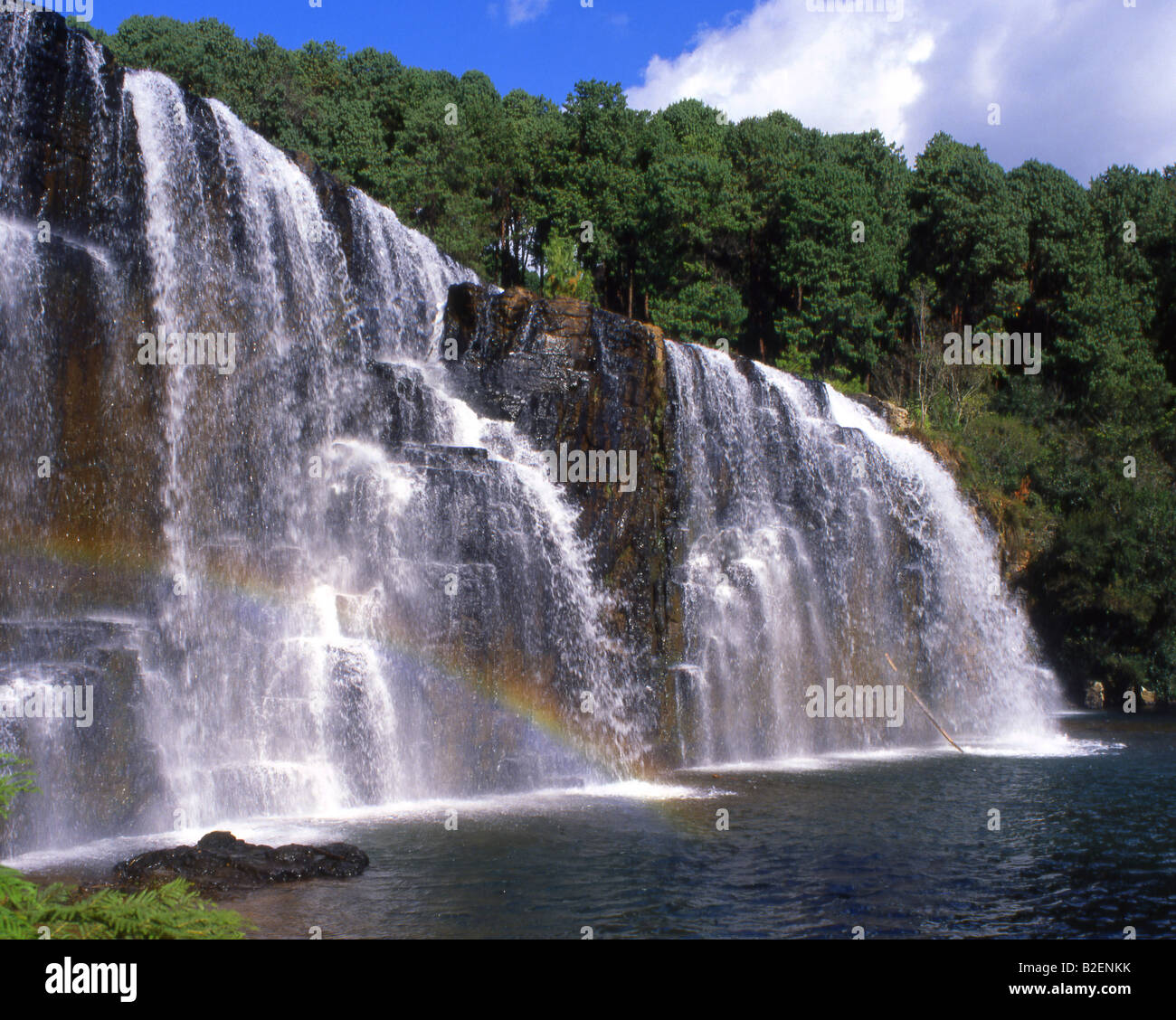 Forest falls graskop hi-res stock photography and images - Alamy
