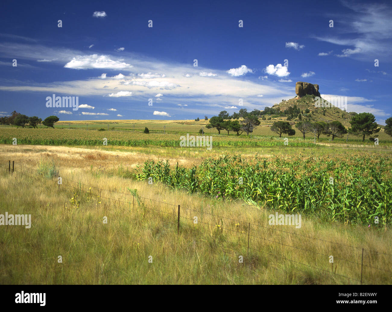 Ficksburg hi-res stock photography and images - Alamy
