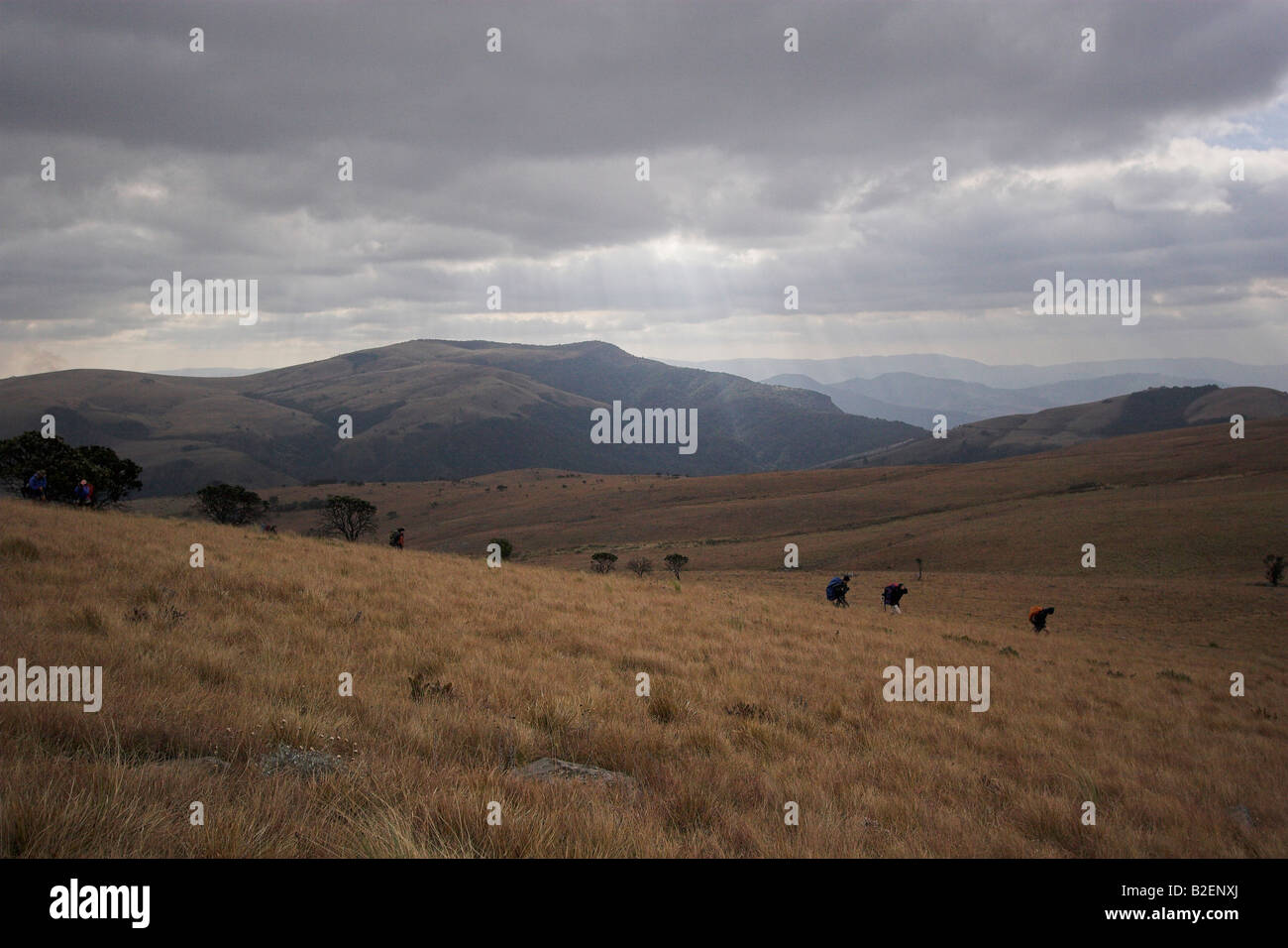 Hikers in the Wolkberg wilderness area Stock Photo - Alamy