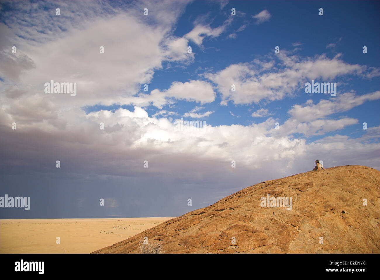 Desert landscape with approaching storm and person sitting on massive ...