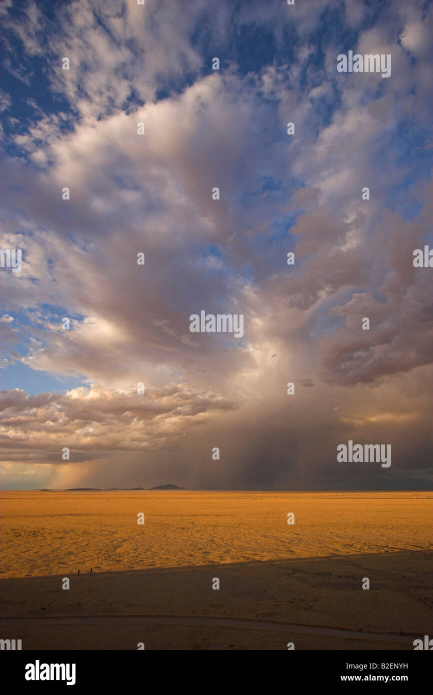 Desert landscape with approaching storm Stock Photo - Alamy