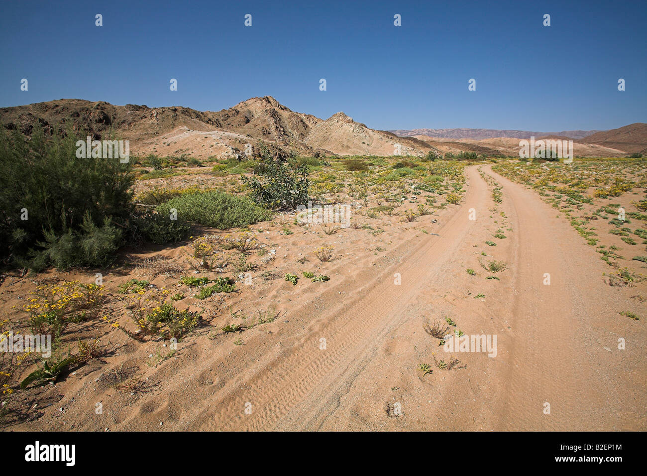 Richtersveld desert track hi-res stock photography and images - Alamy