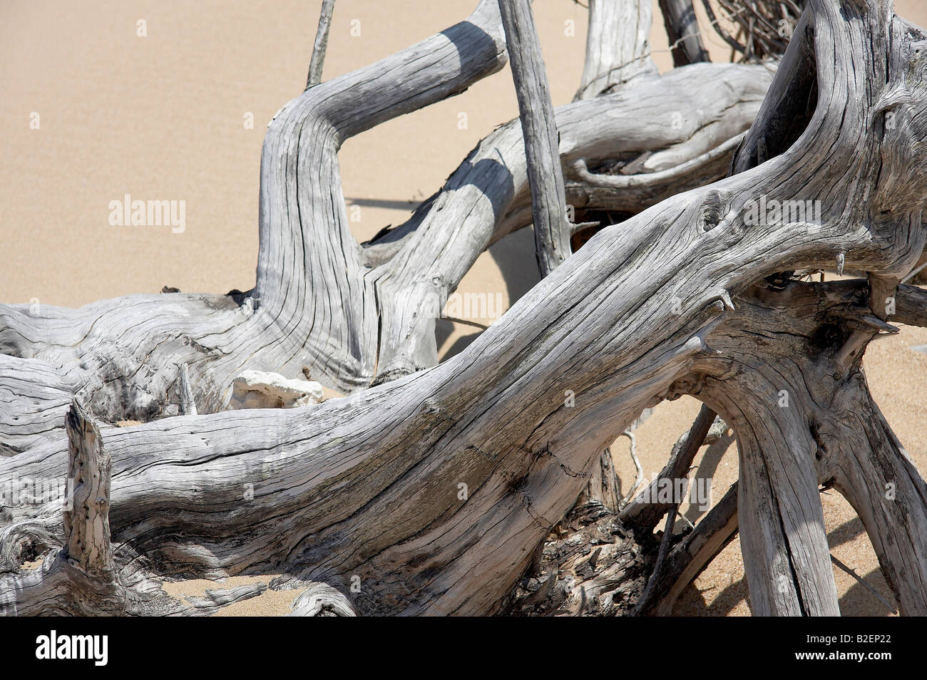 Driftwood hi-res stock photography and images - Alamy