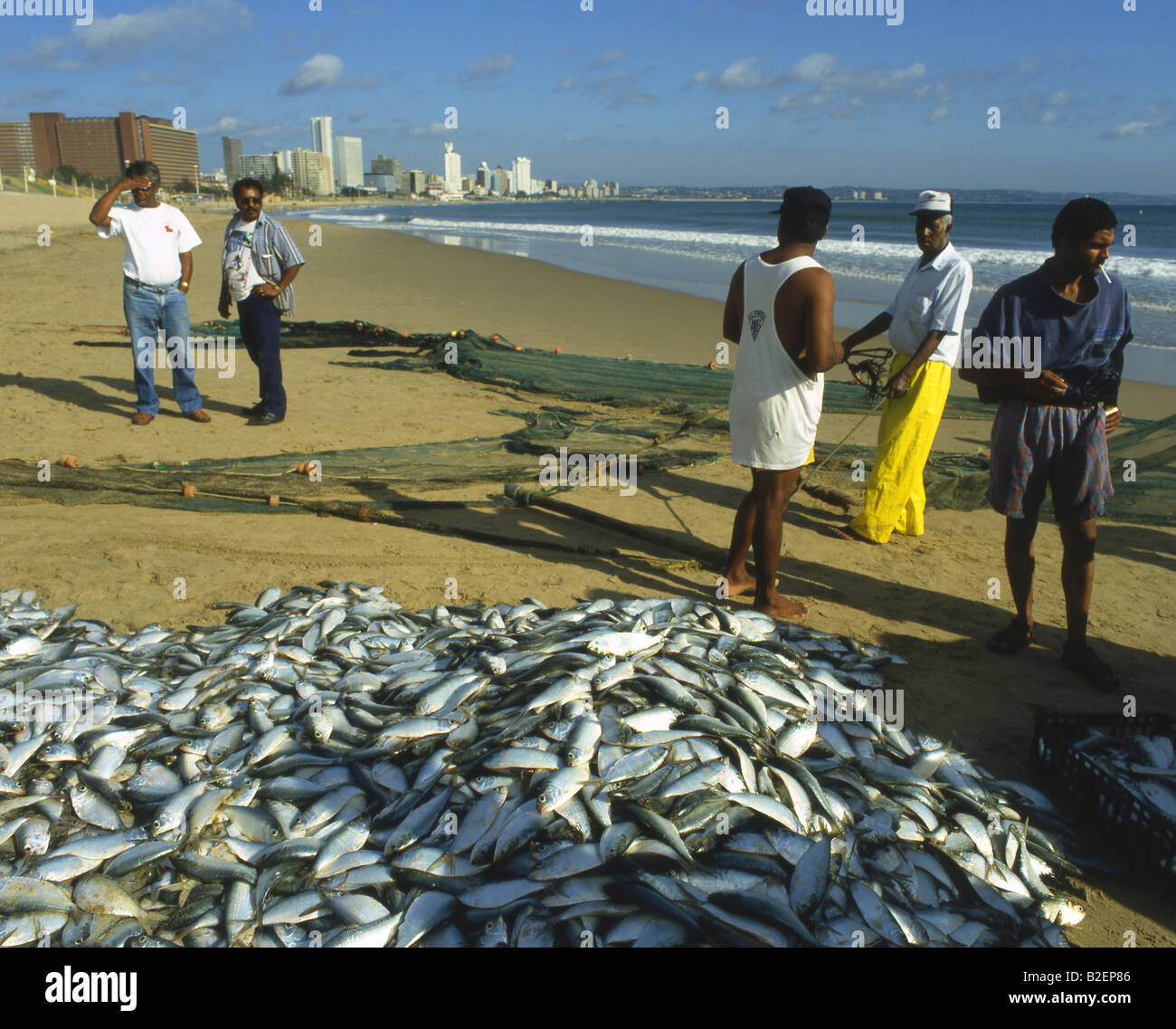Trek Fishermen with their catch of fish on Durban beachfront with ...