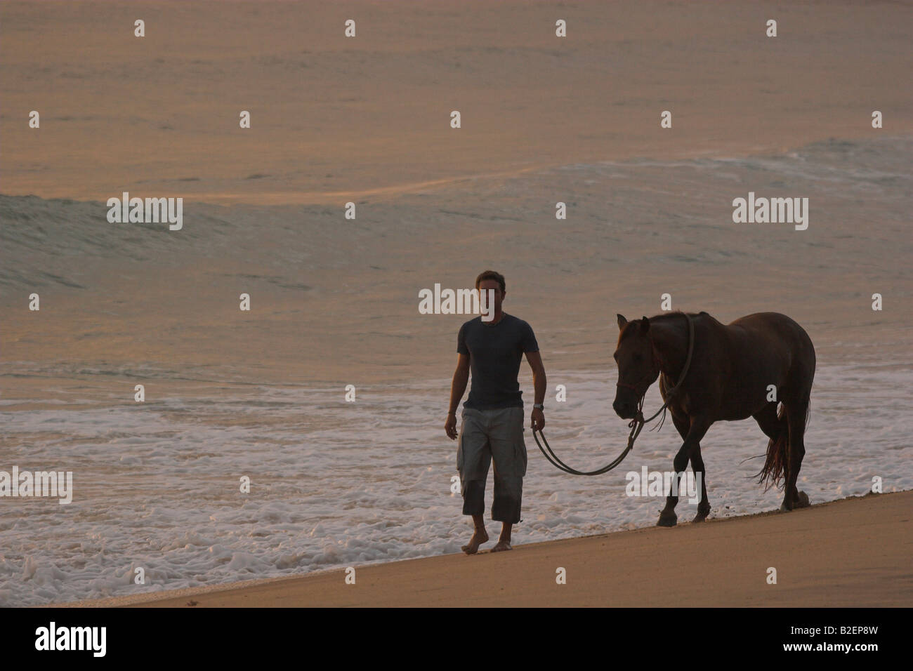 Walking a horse hi-res stock photography and images - Alamy