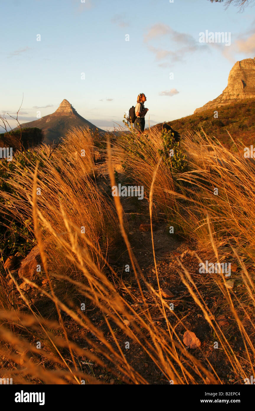 Pipe track cape town hi-res stock photography and images - Alamy