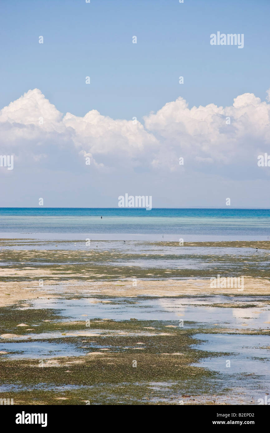 Fumba Beach, Zanzibar Stock Photo - Alamy
