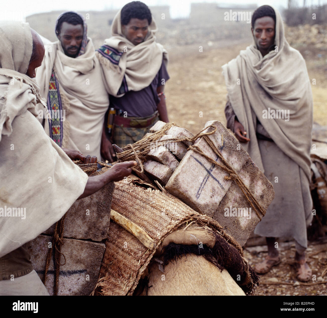 Camel load hi-res stock photography and images - Alamy