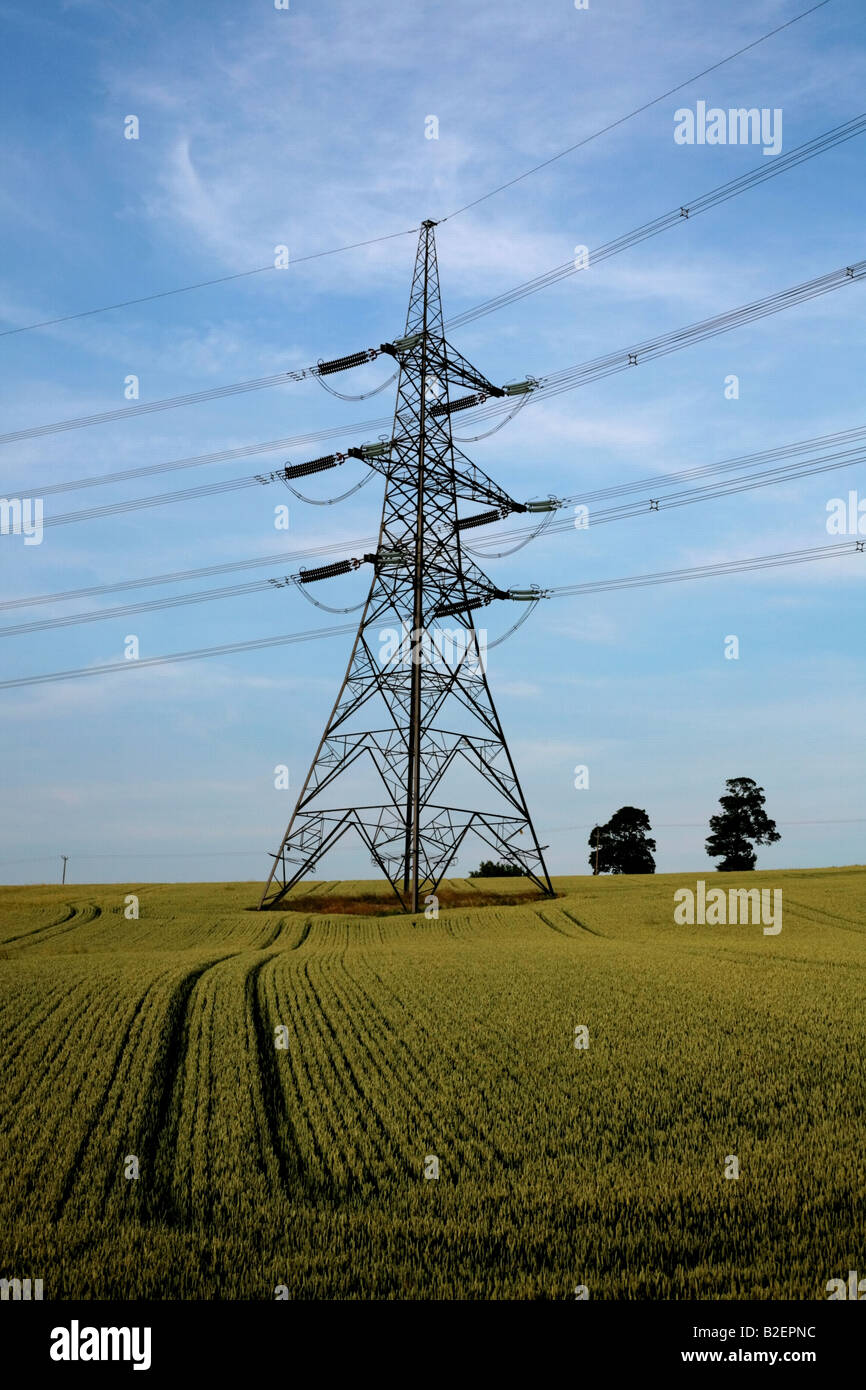 Pylon Electricity in UK Countryside Stock Photo - Alamy