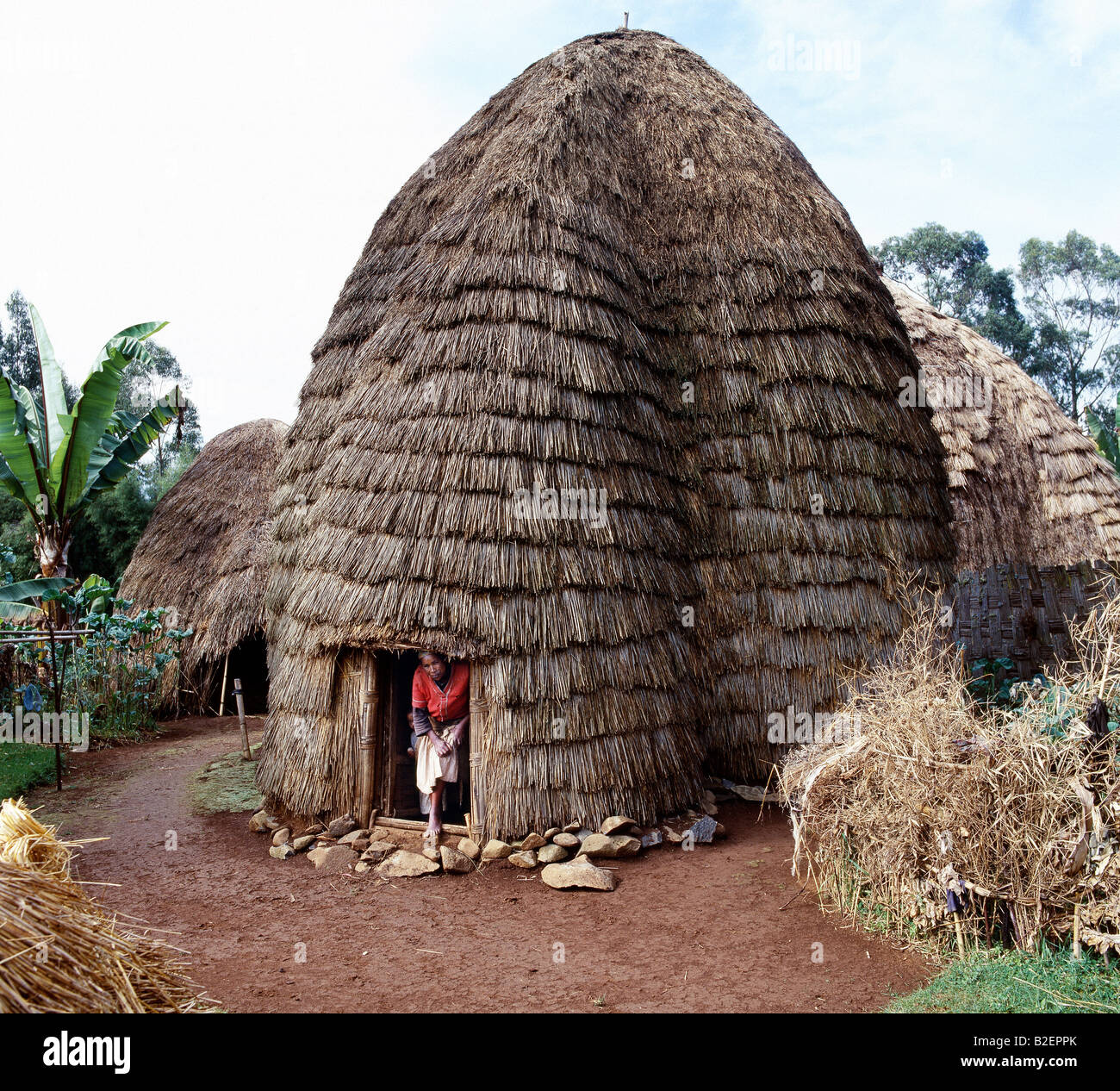 The Dorze people living in highlands west of the Abyssinian Rift Valley ...
