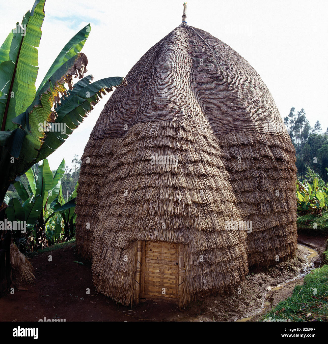The Dorze people living in highlands west of the Abyssinian Rift Valley ...