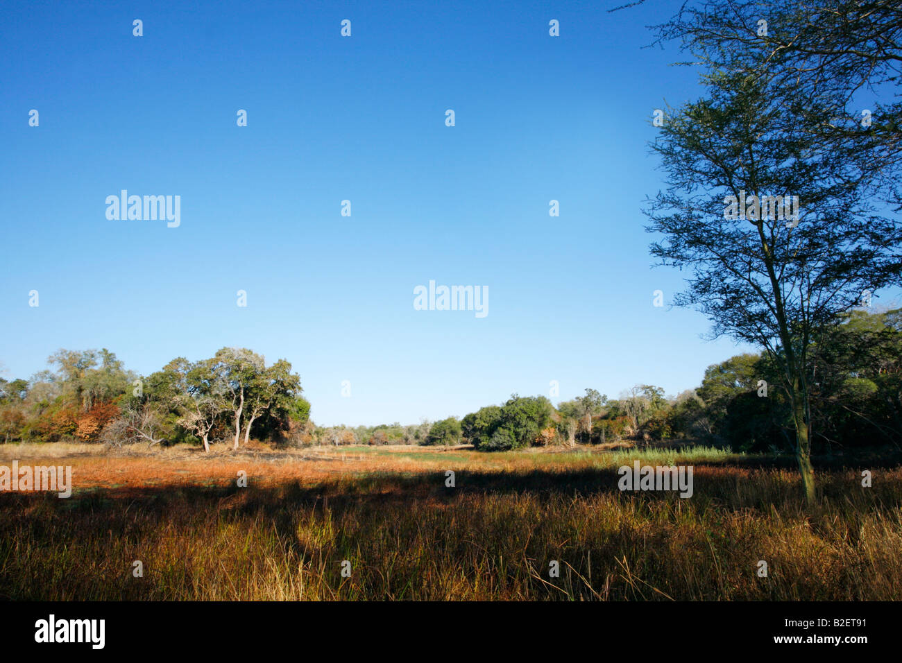 A landscape in the Zinave National park showing a seasonal wetland ...