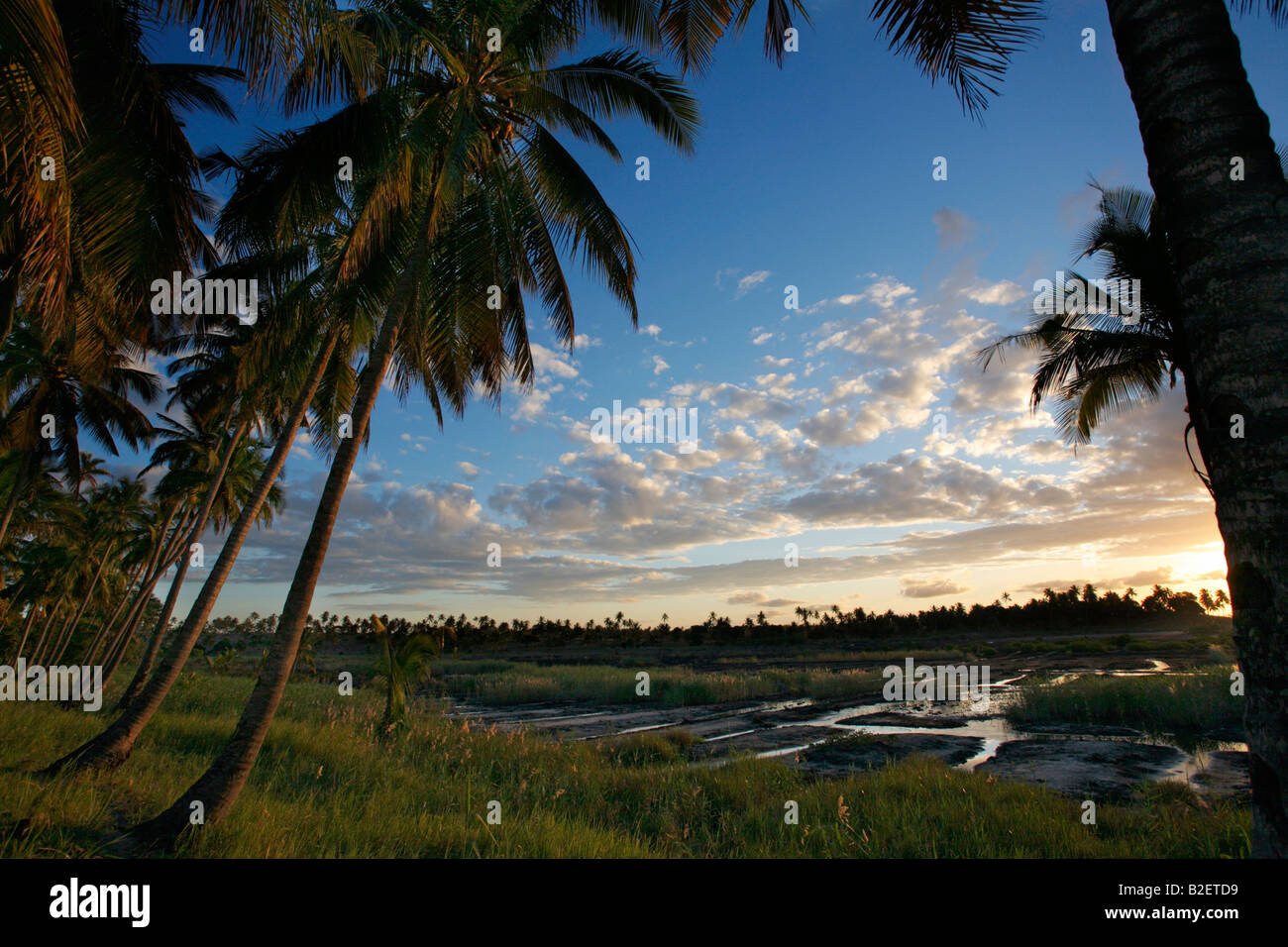 Flood canal estuary hi-res stock photography and images - Alamy