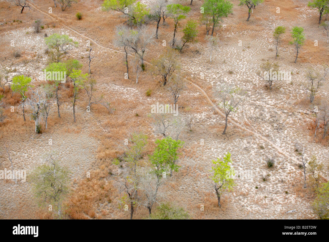 Aerial view of a path meandering through a remote section of the Zinave ...