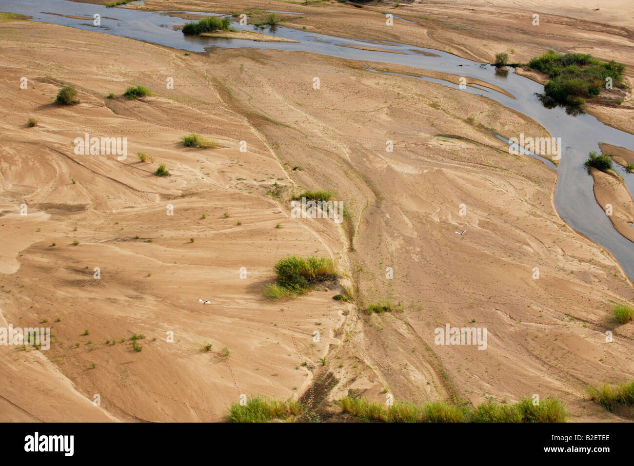 Vegetation limpopo river High Resolution Stock Photography and Images ...