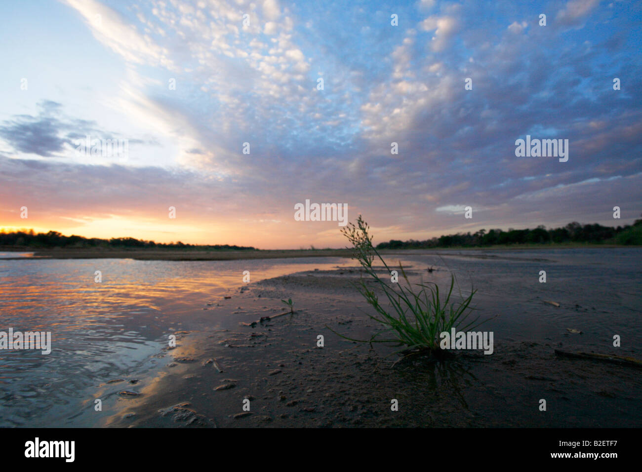 Save save freshwater hi-res stock photography and images - Alamy