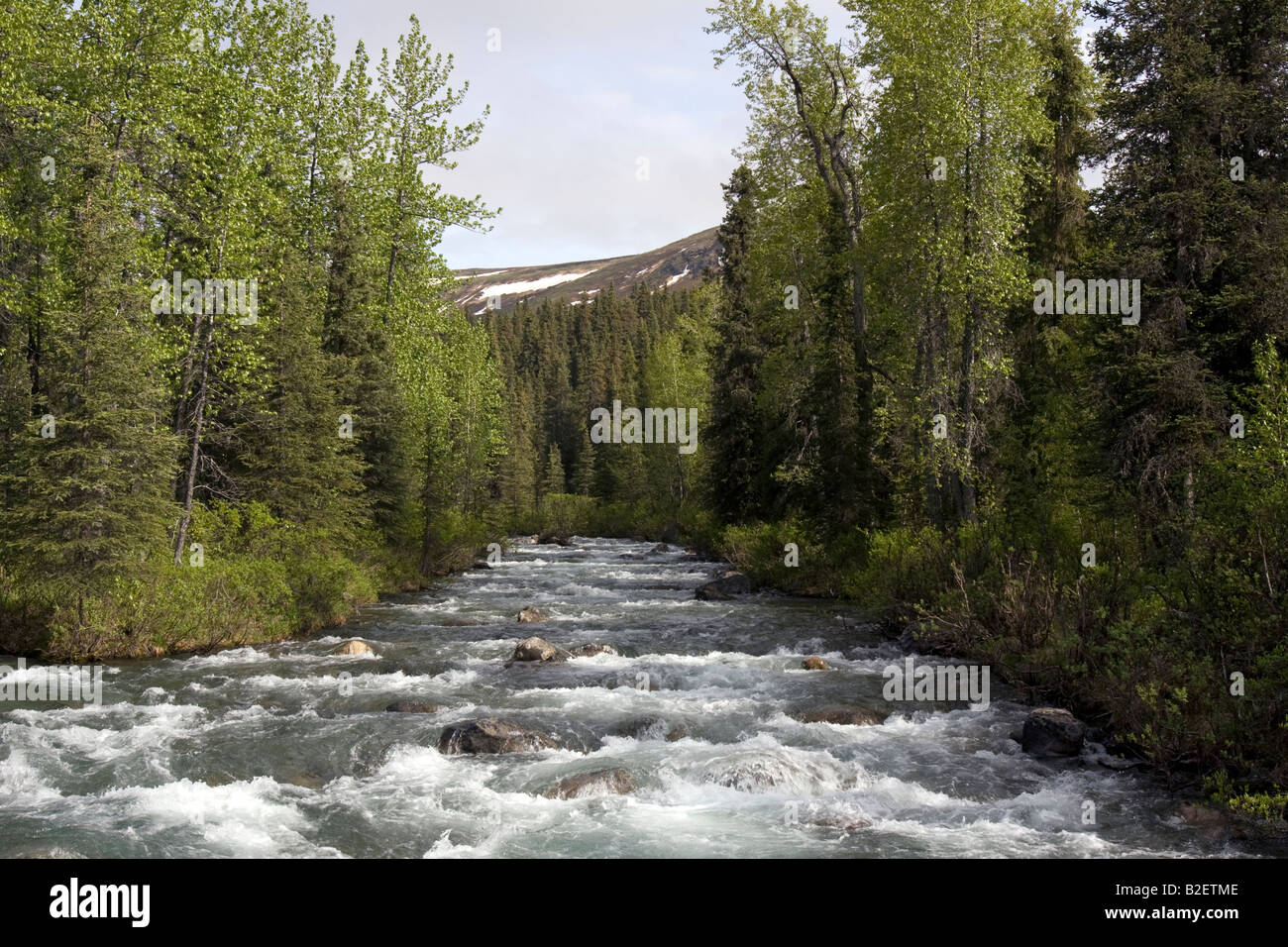 White water river running wild in the Alaskan wilderness Stock Photo ...
