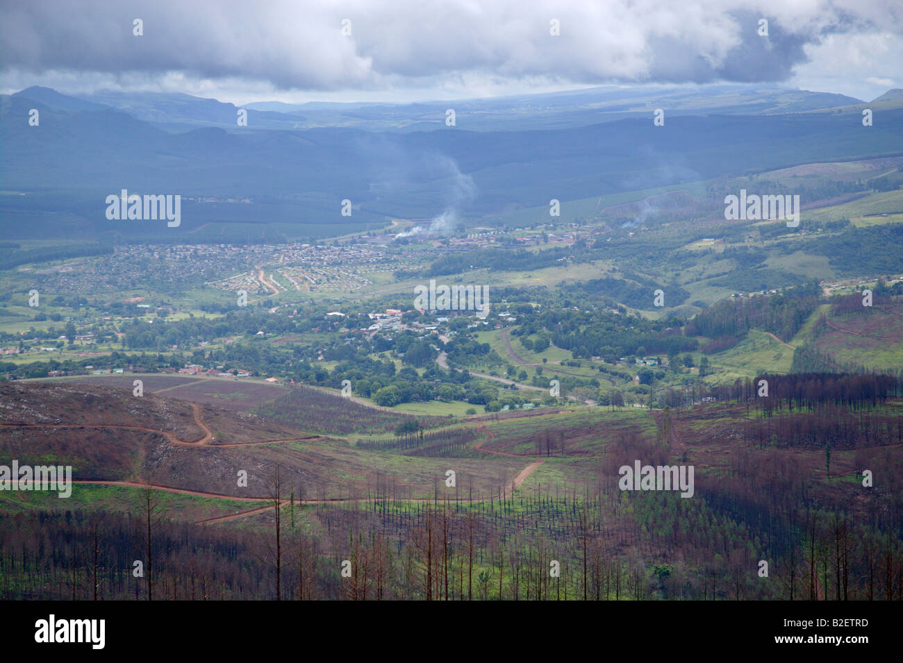 A scenic view of Sabie town with trees killed during runaway forest ...
