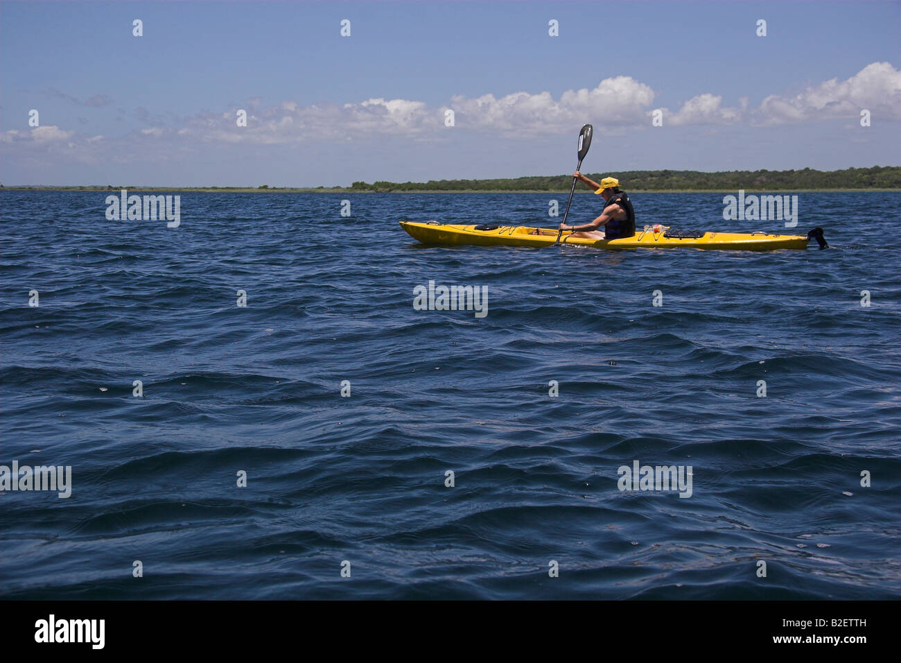 Man kayaking on the lakes at Kosi Bay Stock Photo - Alamy
