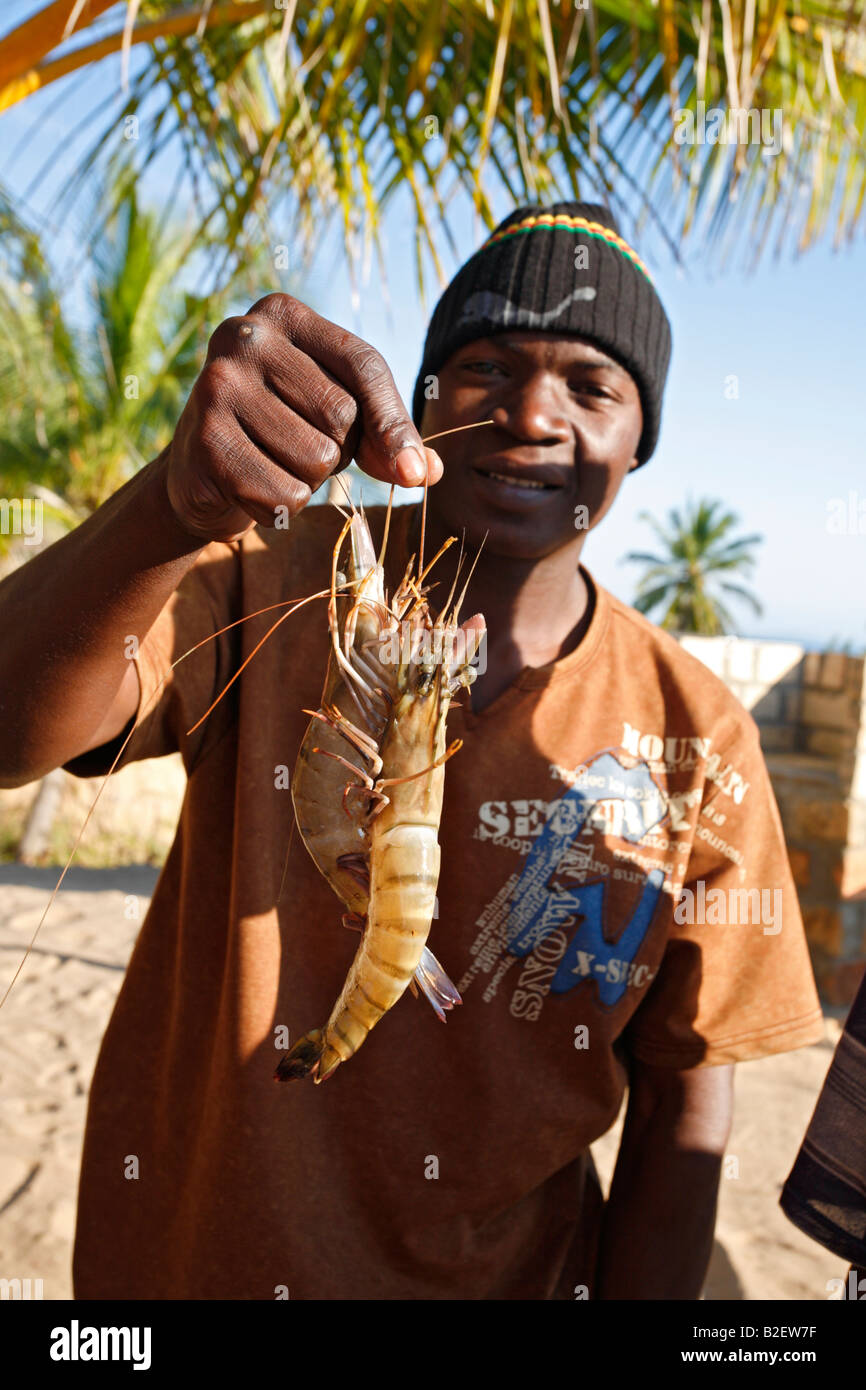 A local vendor holding up two fresh tiger prawns for sale to tourists ...