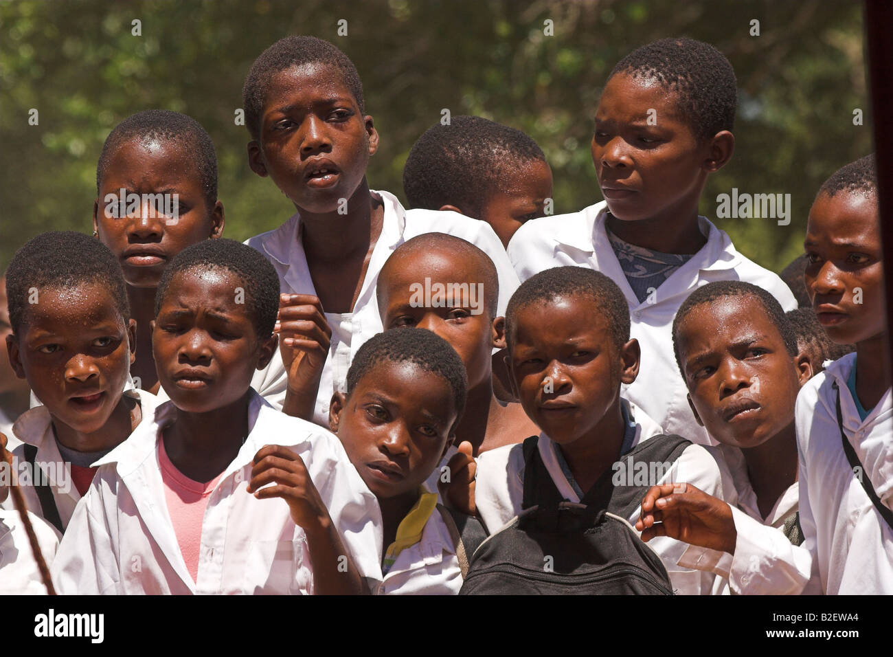 Tonga schoolboys at gathering Stock Photo - Alamy